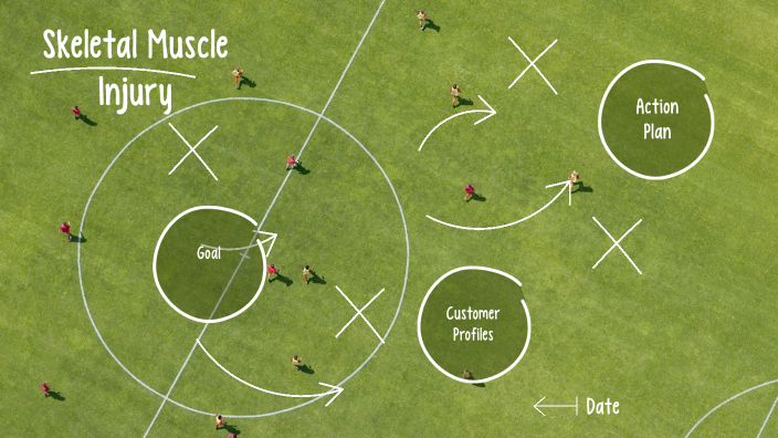 Skeletal Muscle Injury by leen harf on Prezi