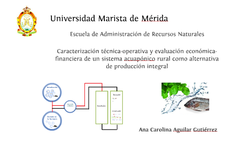 gggff by Ana Aguilar on Prezi