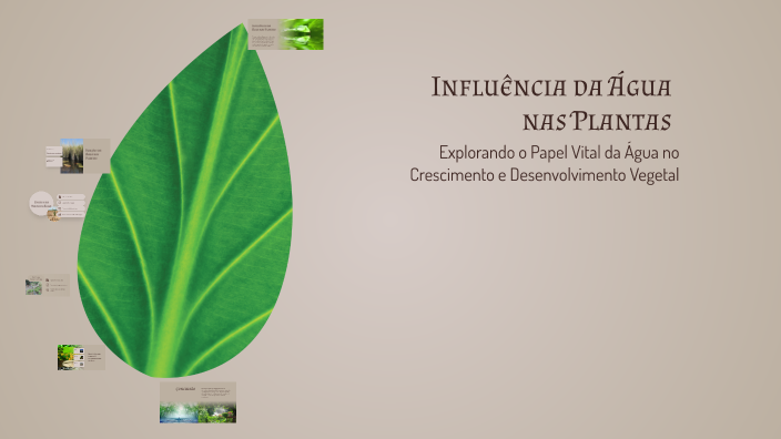 Influência da Água nas Plantas by Miguel Santos on Prezi