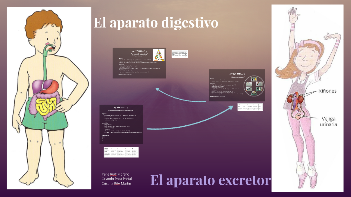 Unidad Didáctica: El aparato digestivo y el aparato excretor by Irene ...