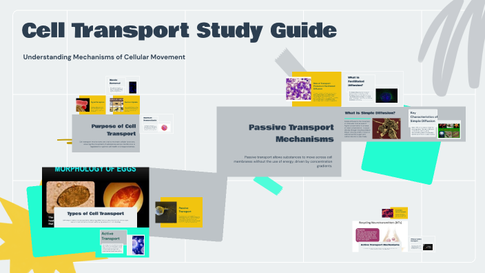 Cell Transport Study Guide by Rodney Phillips on Prezi