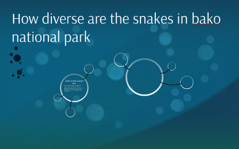 How diverse are the snakes in bako national park by marcus broberg on Prezi