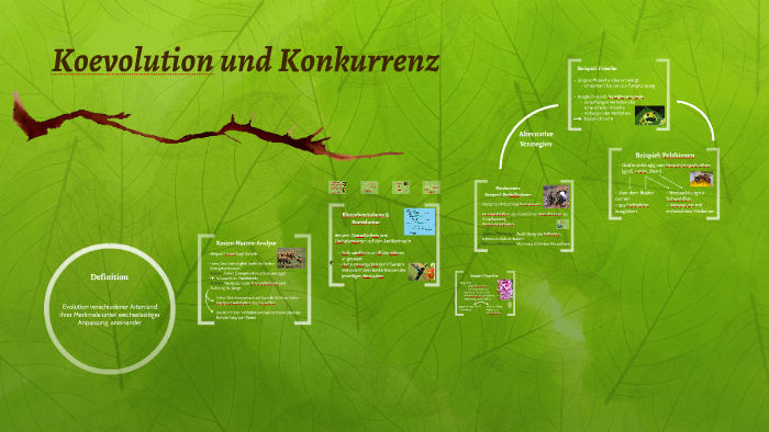 Koevolution und Konkurrenz by Katha Sophia on Prezi