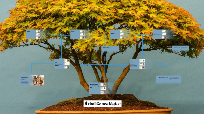Árbol Genealógico y Heráldica Familiar by maria fernanda sanchez on Prezi