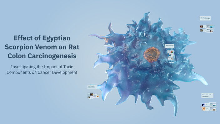 Effect of Egyptian Scorpion Venom on Rat Colon Carcinogenesis by Sara ...
