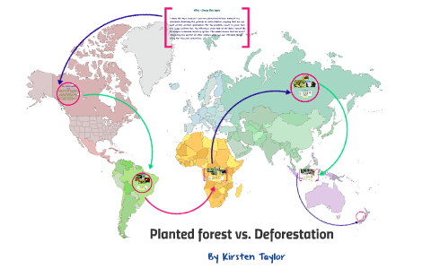 Planted Forest vs. Deforestation by Kat Taylor on Prezi