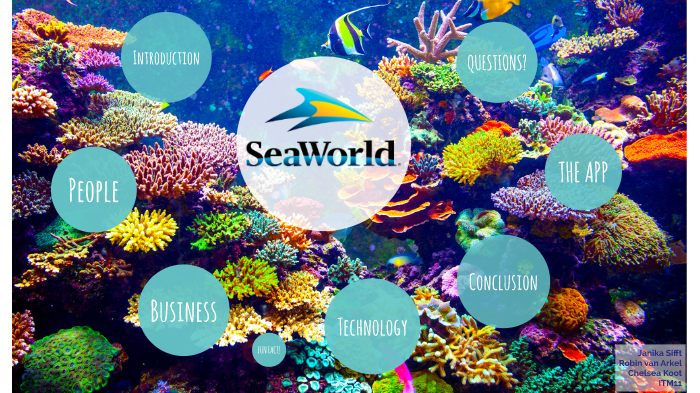 E-Lab presentation - Seaworld by Chelsea Koot on Prezi