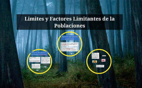 Limites y Factores Limitantes by Diego Wilches on Prezi