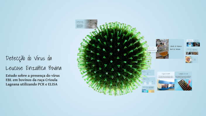 Detecção do Vírus da Leucose Enzoótica Bovina by Manuela Vidal De Souza ...