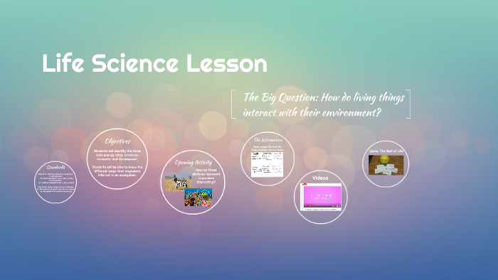 Life Science Lesson by Kelly Seger
