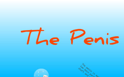 The Male Reproductive System: The Penis by Hannah Sweatt on Prezi