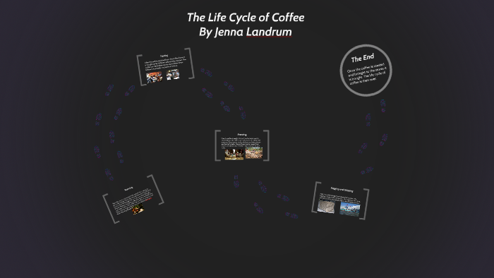 The Life Cycle of Coffee by Jenna Landrum on Prezi