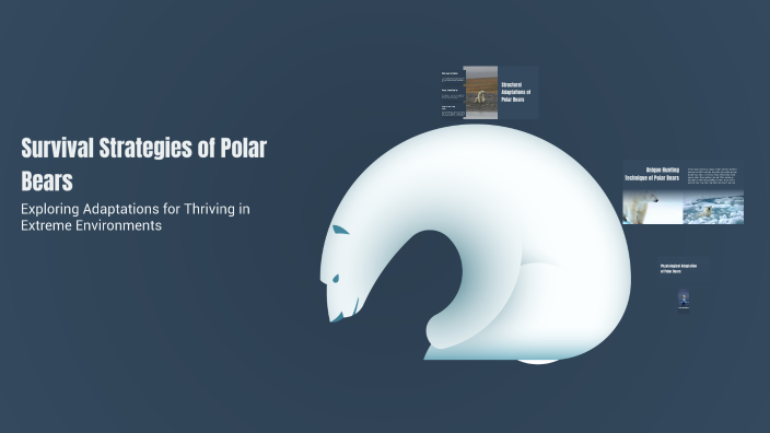 Survival Strategies of Polar Bears by Alex Wang on Prezi