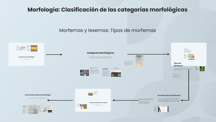 Morfología: Clasificación de categorías morfológicas by Birmaily ...