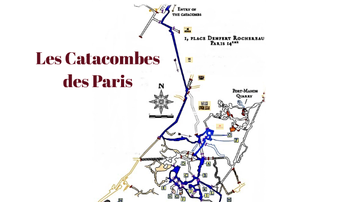 Les Catacombes des Paris by Julia Toast