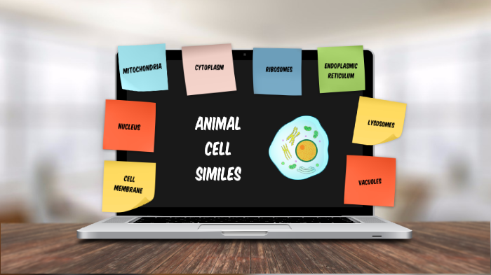 Cell Simile Project by Karyn Opara on Prezi