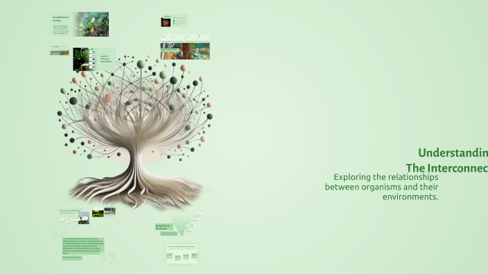 Understanding Ecology: The Interconnectedness of Life by Addison Rich ...