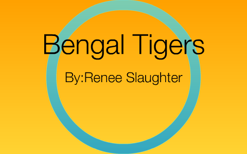 Bengal Tiger Isp by Renee S on Prezi