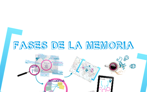 Fases De La Memoria By Luz Escoto On Prezi