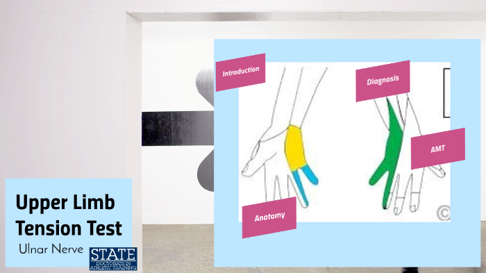 Upper Limb Tension Test: Ulnar Nerve by Jodee Roberts on Prezi