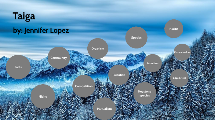 Taiga by Jennifer Lopez Rayas on Prezi