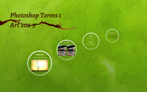 Photoshop Terms 1 by David Mance on Prezi