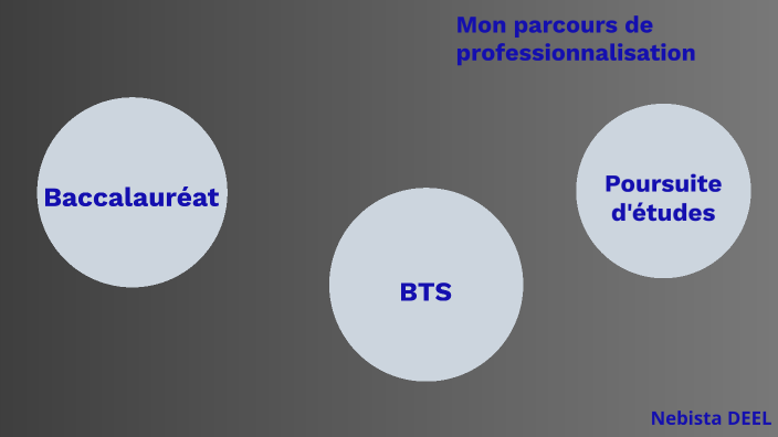 parcours professionnel by Nebista Deel on Prezi