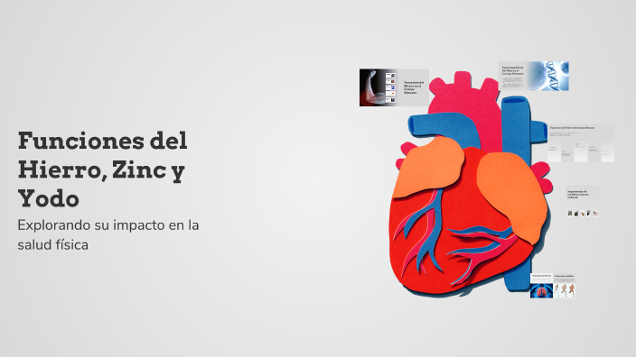 Funciones Del Hierro Zinc Y Yodo By Axel Jacob Martinez Luna On Prezi