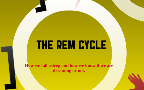 The Rem Cycle by caitlin mundy on Prezi