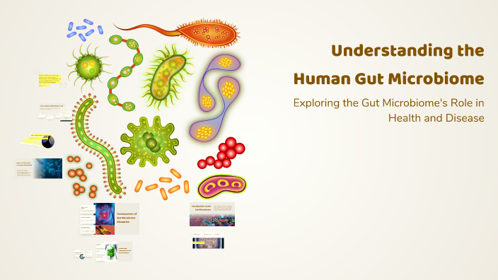 Understanding the Human Gut Microbiome by KARL ADRIAN OLEGARIO on Prezi