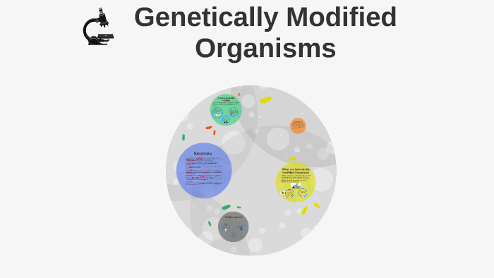 Genetically Modified Food by kate mosel on Prezi