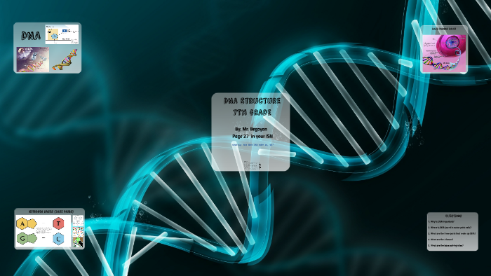 DNA Structure - 7th Grade by William Begoyan on Prezi