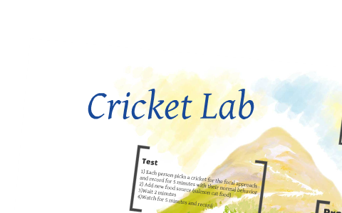Cricket Lab by Lydia M on Prezi