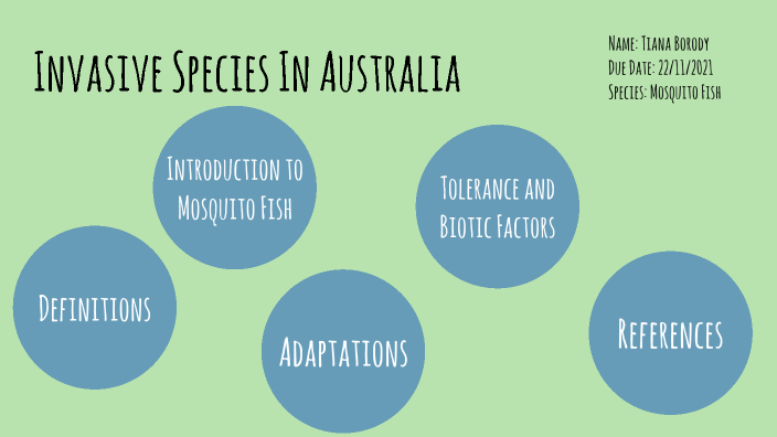 Invasive Species In Australia by Tia B on Prezi