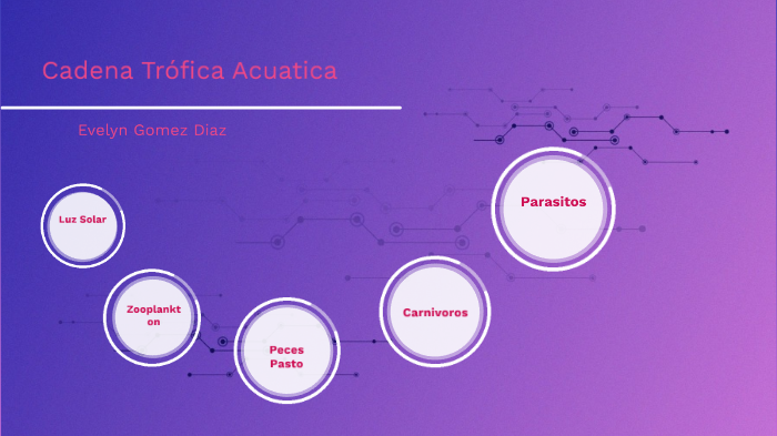 Cadena Trófica acuática by Evelyn Diaz on Prezi