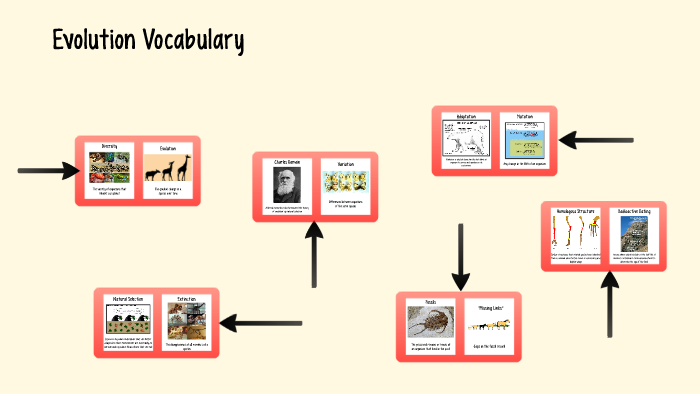 Evolution Vocabulary by Allison Davis on Prezi