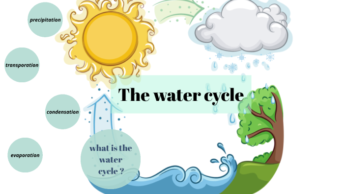 The process of the water cycle by Angelyna Nunez on Prezi