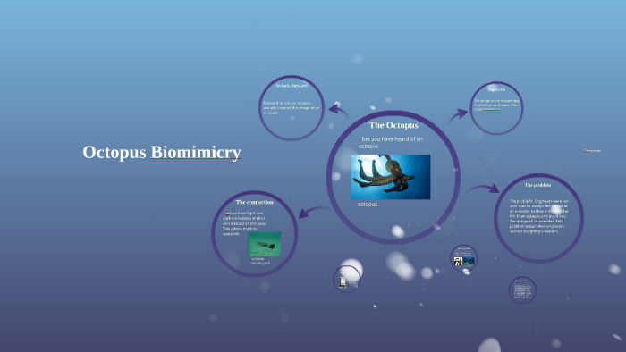 Octopus Biomimicry by Georgia Evensen on Prezi