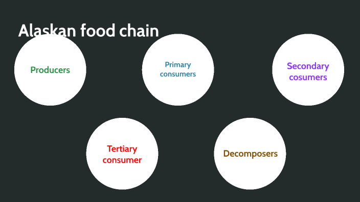 Alaskan food chain by Dylan Mulligan on Prezi