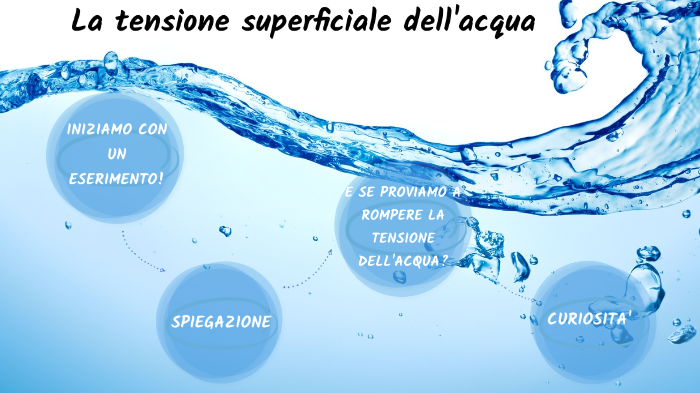 La tensione superficiale dell'acqua by Roberta Deliperi on Prezi