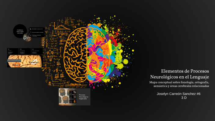 Elementos de Procesos Neurológicos en el Lenguaje by joselyn carreon on ...