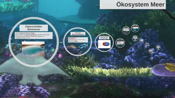 Ökosystem Meer by Pascal DeBerg on Prezi