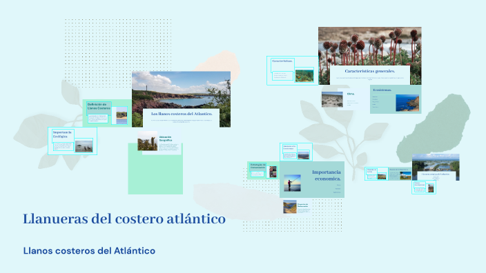 Llanuras del costero atlántico de Republica Dominicana by jesus ivan ...