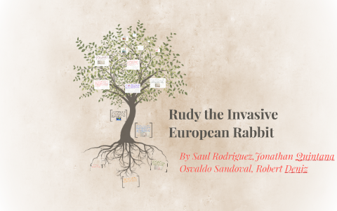 Rudy the Invasive European Rabbit by saul rodriguez on Prezi
