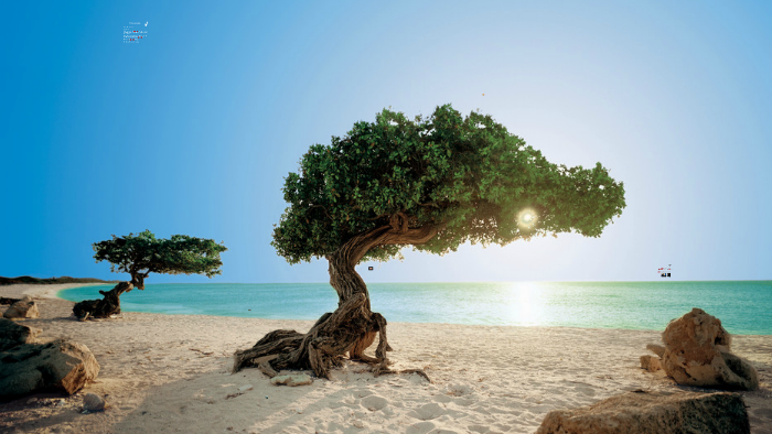 People of Aruba by on Prezi