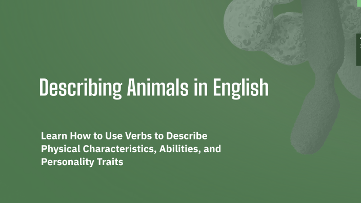 Describing Animals in English by CINTHIA SALGADO on Prezi
