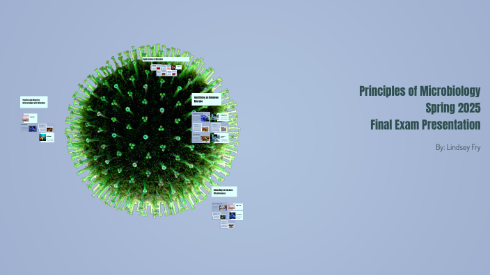 Microbial Insights: Understanding and Utilizing Microbes by Lindsey Fry ...
