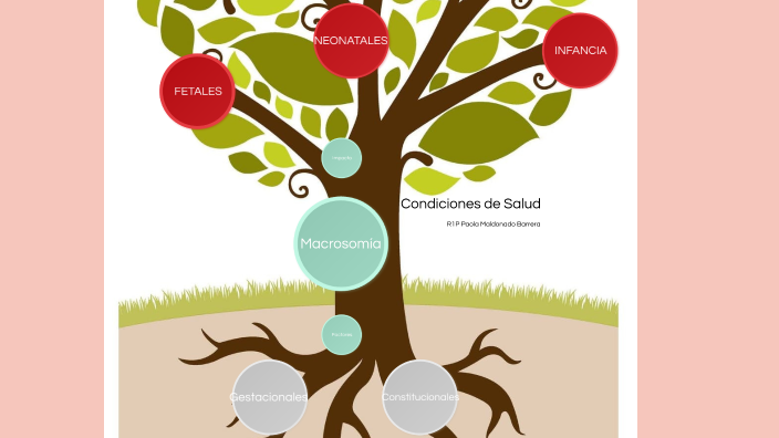 Condiciones de Salud by Paola Maldonado on Prezi