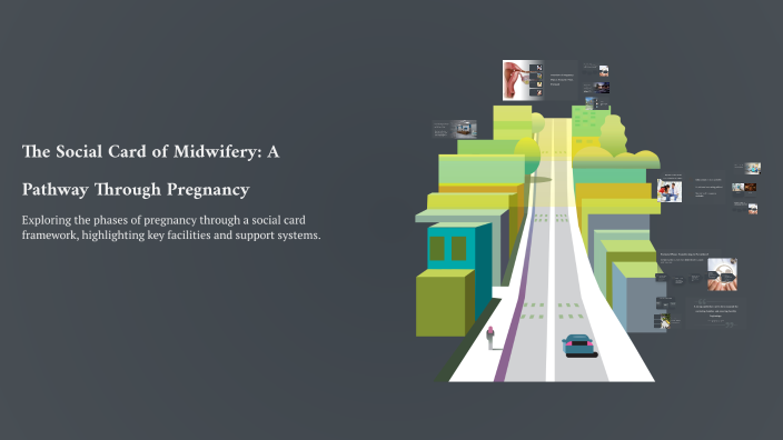 The Social Card of Midwifery: A Pathway Through Pregnancy by Jeltje Bus ...