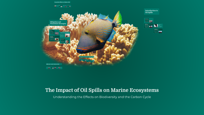 The Impact of Oil Spills on Marine Ecosystems by mac holmes on Prezi